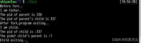 实验 Linux Shell实现模拟多进程并发执行【操作系统】 Csdn博客