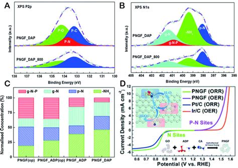 Xps A P2p And B N1s Spectra For Pngf Dap And Pngf Dap 800 C