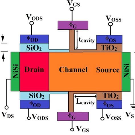 Si Hd Rfet Biosensor Structure Download Scientific Diagram