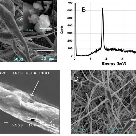 Characterization Of Composite Pcl Psi Materials A Sem Image Of