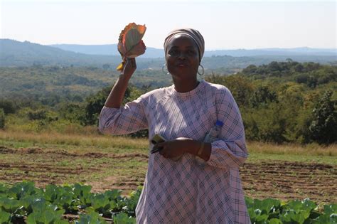 The Mpumalanga Department Of Agriculture Warns Farmers About Nematodes Mpumalanga News