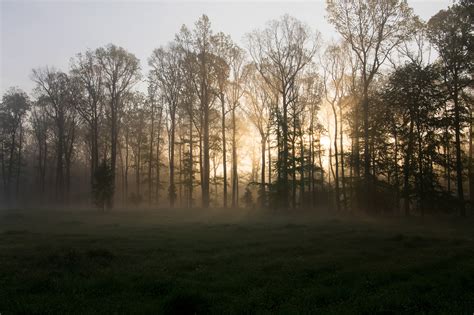 Spring Sunlight On Behance