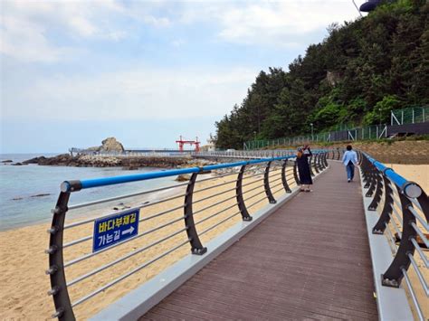 강릉 정동심곡 바다부채길 코스 입장료 소요시간 심곡항 버스 시간 네이버 블로그