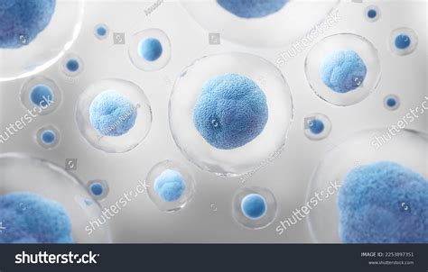 인간 세포 또는 배아 줄기세포 현미경 스톡 일러스트 2253897351 Shutterstock