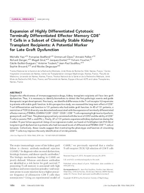 Pdf Expansion Of Highly Differentiated Cytotoxic Terminally Differentiated Effector Memory Cd8