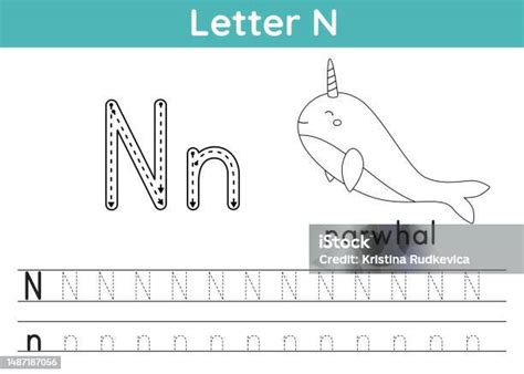 알파벳 Abc Az 운동 색칠하기 페이지 추적 문자 N 색칠하기 책에 대한 어휘 귀여운 만화 일각고래 어린이를 위한 인쇄 가능한 활동 워크시트 교육용 게임 벡터 그림 0명에
