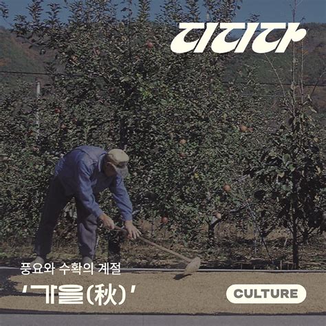 디디다 Weekly 세월 속에 숨은 대구경북의 나무의 이야기들 내륙에는 팔공산 가야산 주흘산 일월산 주왕산