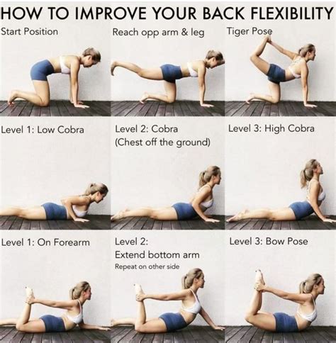 How To Improve Your Back Flexibility Exercícios Exercício Físico
