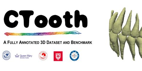 Ctooth Dataset Kaggle