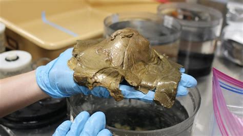 Scientists Discover Mysterious Purple Blob At The Bottom Of The Ocean