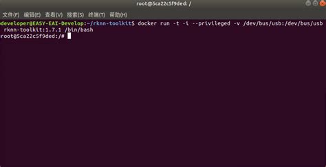 模型转换环境搭建 RV 开发板使用指南 v 文档