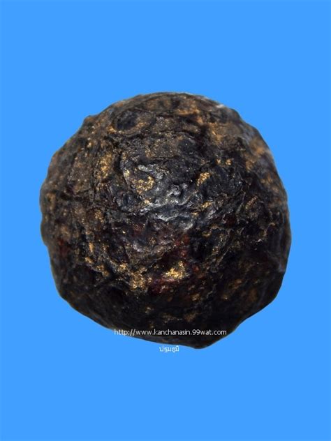 ลูกอมสายสิญจน์ หลวงปู่ยิ้ม วัดหนองบัว No 10 กลิ้งผงคลุกรัก จุ่มรัก ยุคต้น ปฐมภูมิ พระเครื่อง