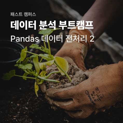 Pandas 날짜 다루기 사용자 정의 함수 적용하기 데이터 결합하기 — Datarium