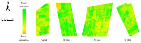 Remote Sensing Free Full Text Estimation Of Soil Salt Content At Different Depths Using UAV