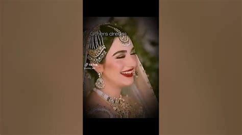 software engineer status for whatsapp coder status 2023 programmers coding viral short youtube