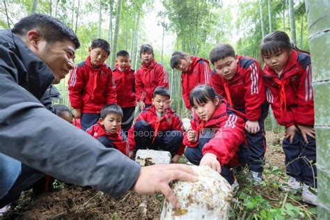 浙江湖州：劳动教育助成长 人民图片网