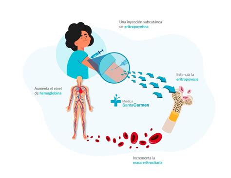 Potenciando Tu Salud Beneficios De La Eritropoyetina Bienestar Cósmico