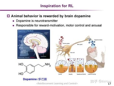 李升波 《强化学习与控制》 Lecture 1（2023年春季） 知乎