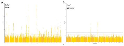 Exploring Sex Differences In Pain Manifestation Of Coronary Artery