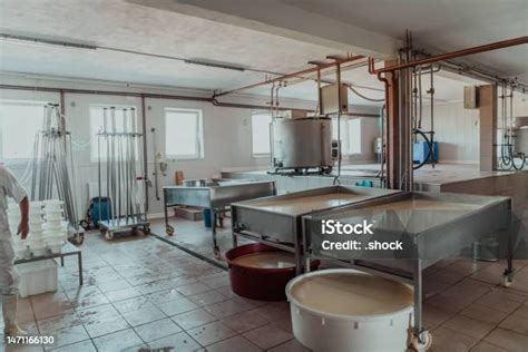 유제품 가공 및 다양한 종류의 치즈 생산을위한 현대 공장의 내부 0명에 대한 스톡 사진 및 기타 이미지 0명 공장 산업 건물 구다 치즈 Istock