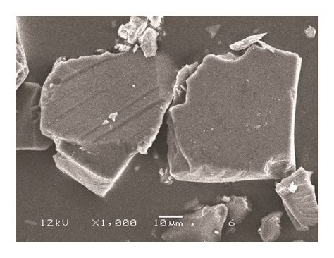 sem image of a sio2 b sio2 iminesa c sio2 iminesa pd ii d
