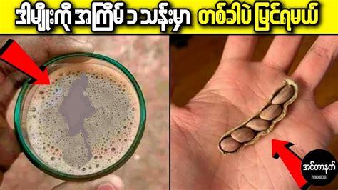 သမိုင်းတစ်လျှောက် ပြန်မြင်ရဖို့ မဖြစ်နိုင်တဲ့ တိုက်ဆိုင်မှုများ Youtube