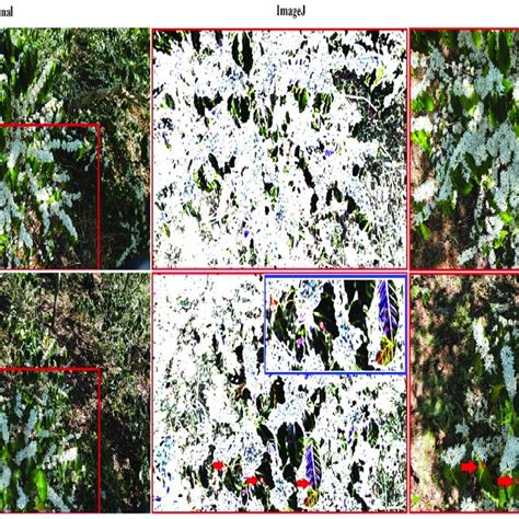 Evaluation Results Of The Developed Method On Uav Acquired Images Red Download Scientific