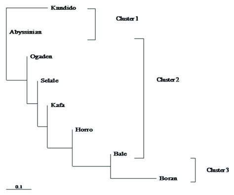 Unrooted Neighbor Joining Dendrogram Constructed From Slatkins