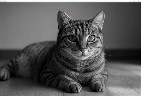 C OpenCV ORBを使った高速回転不変特徴点検出とマッチング実装