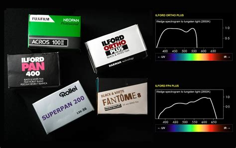 Spectral Sensitivity Of Bandw Film A Deep Dive Into Orthochromatic Panchromatic And All The