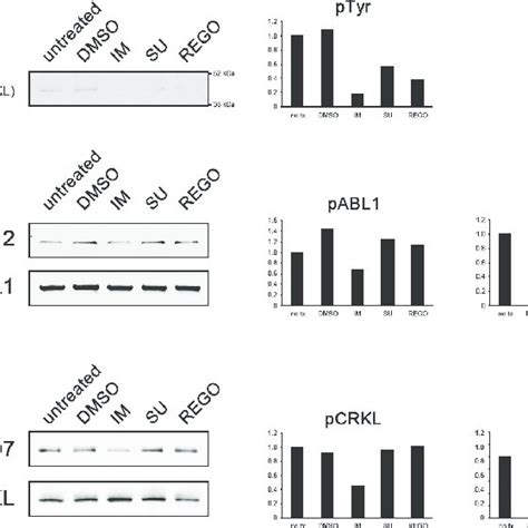 Contour Maps For Estimating The Risk Of Gist Recurrence After Surgery Download Scientific