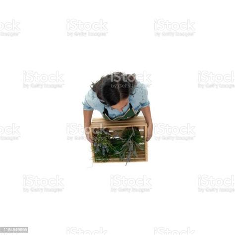 직접 위의 보기공중 보기1 인전체 길이 성인 아름 다운 갈색 머리긴 머리 백인 여성젊은 여성중간 성인 농부농장 노동자소유자식물원