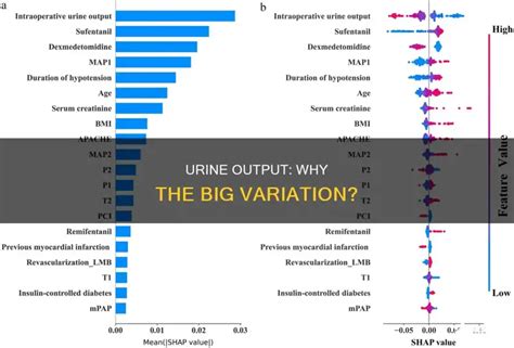 Urine Output Why The Big Variation Medshun