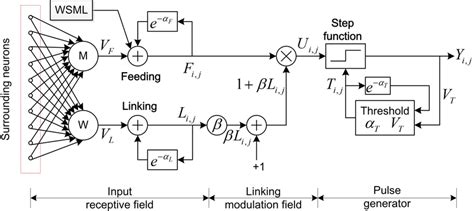 Biologically Inspired Feedback Neural Model Color Figure Can Be Viewed