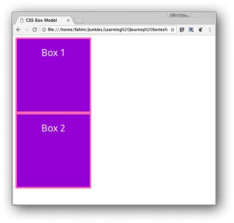 Css Box Model For Beginner Unlocking The Magic Of Css Hackernoon