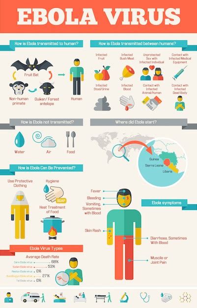 Premium Vector Medical Infographic Template