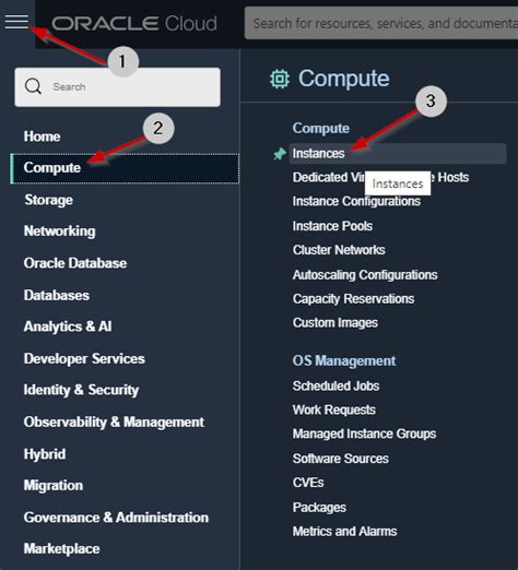 Deploying A Check Point Cluster In Oracle Cloud Infrastructure