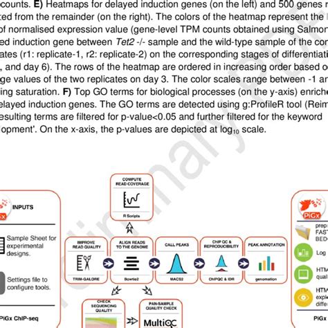 Workflow Diagram For Chip Seq Pipeline Download Scientific Diagram