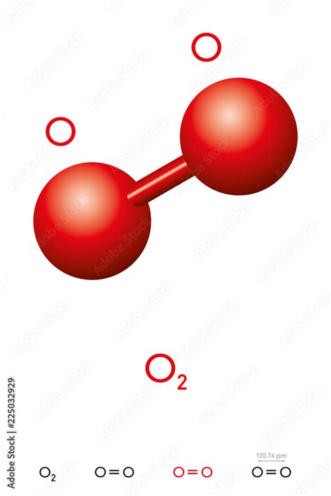 Vetor De Oxygen O2 Molecule Model And Chemical Formula Also Dioxygen