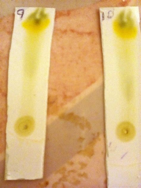 Questions With Answers In THIN LAYER CHROMATOGRAPHY Scientific Method