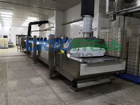 液氮速冻机 液氮速冻设备 液氮速冻隧道厂家 狮耀工业技术（上海）有限公司