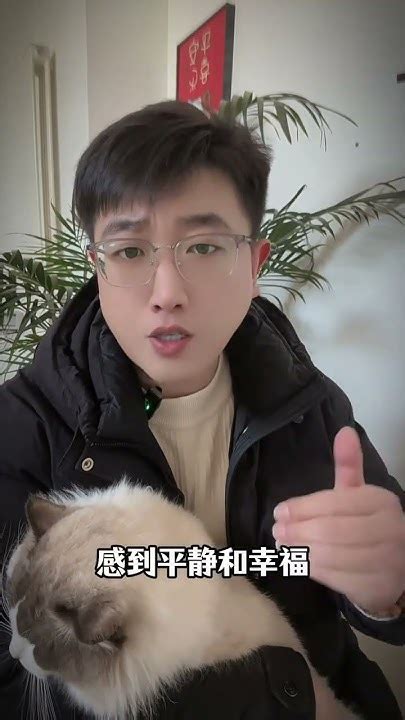 一定要和猫咪多说说话、因为治愈它的同时你也得到了治愈。科学养宠攻略 新手养猫 猫咪 萌宠出道计划 Youtube