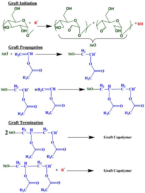Structure Of Polyvinyl Acetate At Carl Buteau Blog