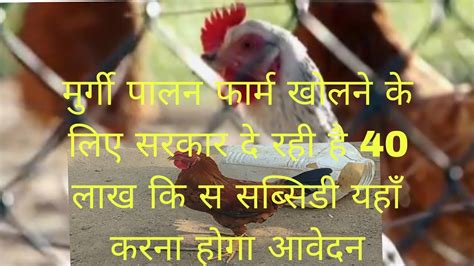 Murgi Form Ke Liye Kaise Milegi Yojana Ke Liyesonali Murgi Palan Murgi Palan Leदेसी मुर्गी Youtube