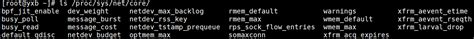 Linux Tcp内核参数设置与调优详细！为了支持 Tcp Bbr 拥塞控制算法在编译 Linux 内核时应该配置好哪一条内核选项