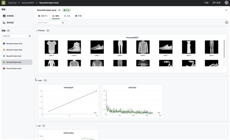Fashionmnist Swanlab官方文档