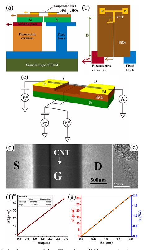 Figure 1 From Transversally And Axially Tunable Carbon Nanotube