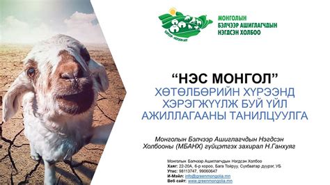 “НЭС Монгол” платформ нь Хүн төвтэй засаглалын төлөө хамтран ажиллана Монголын бэлчээр