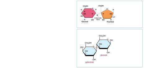 Solved CH₂OH H Н OH H H HO O HỎ H OH OH H The image shown Chegg com