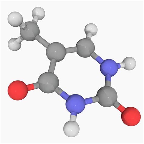 Thymine Lewis Structure